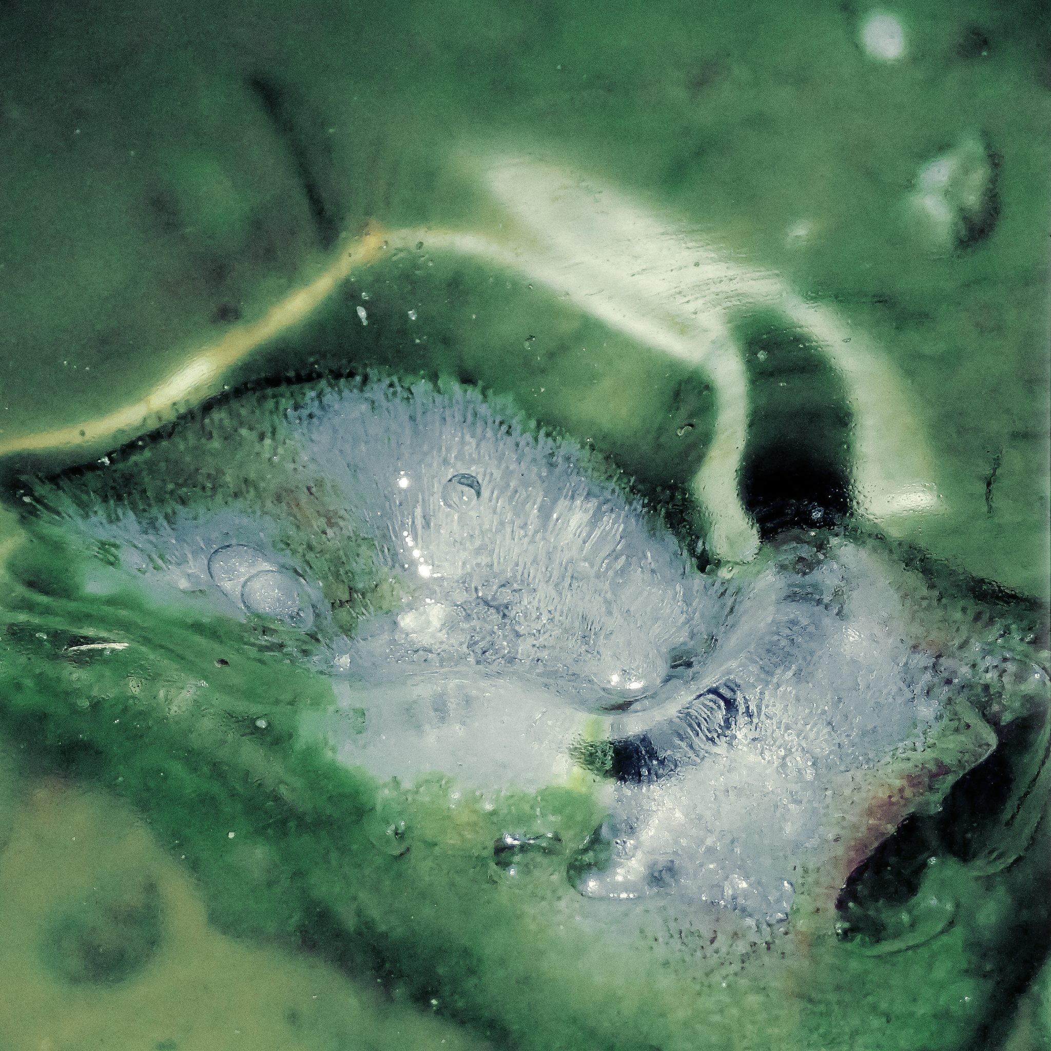 PLANCHA official site::: | a record label from Tokyo