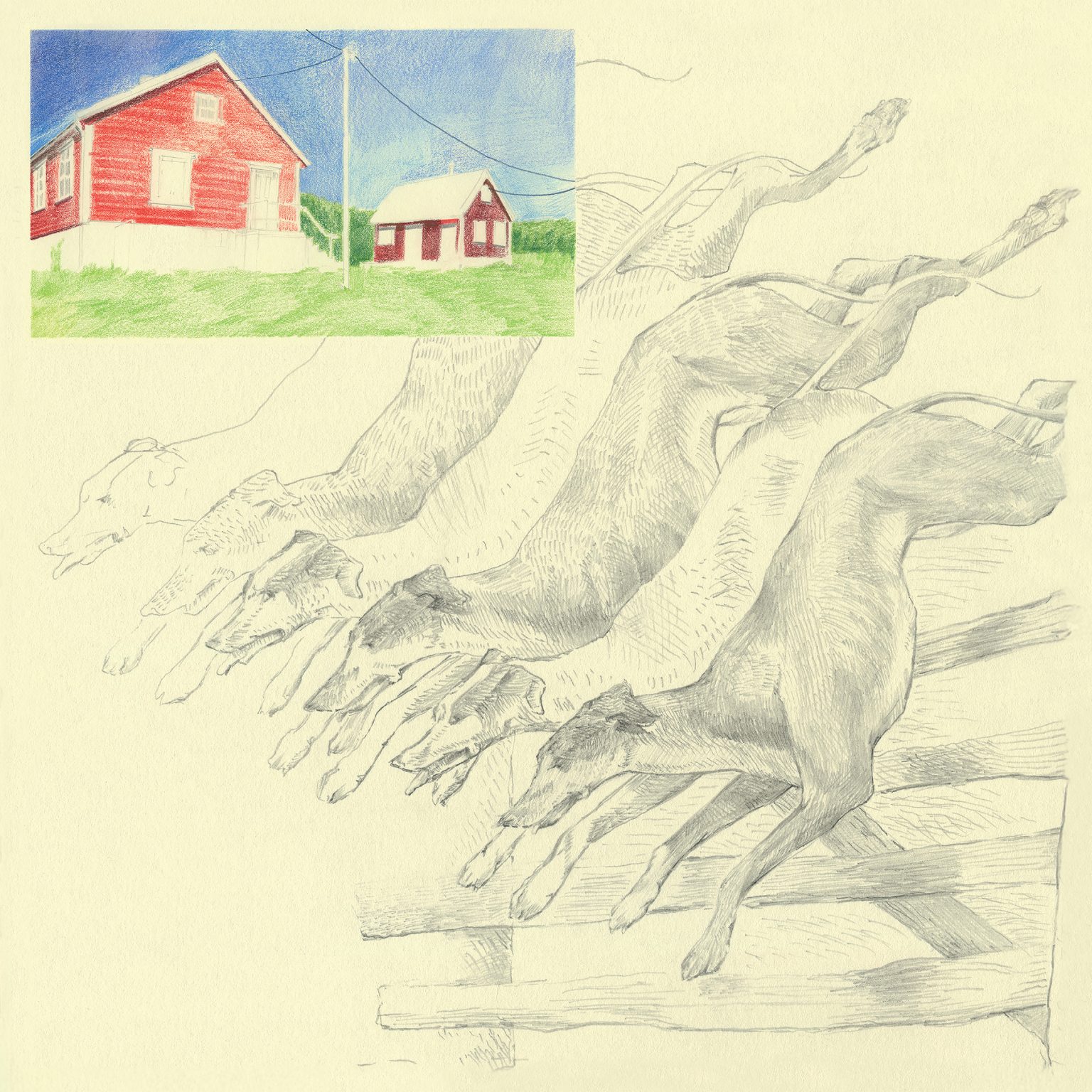 PLANCHA official site::: | a record label from Tokyo